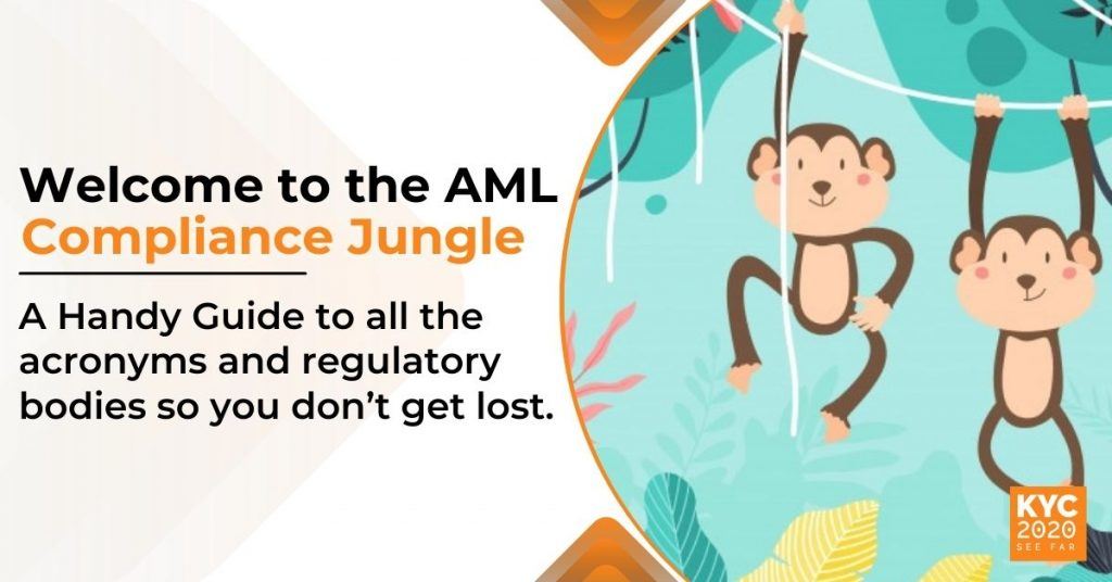 Navigating the AML Compliance Jungle: A Glossary of AML Terms - BLOG